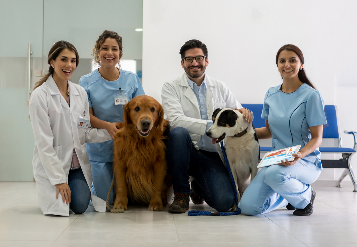 Big 6 Live: CMA debate – Vet Show Academy