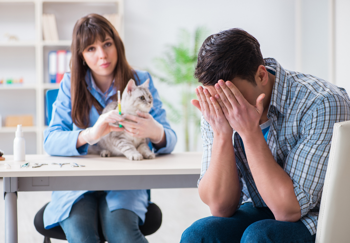 Delivering bad news: Effective communication strategies for discussing ...