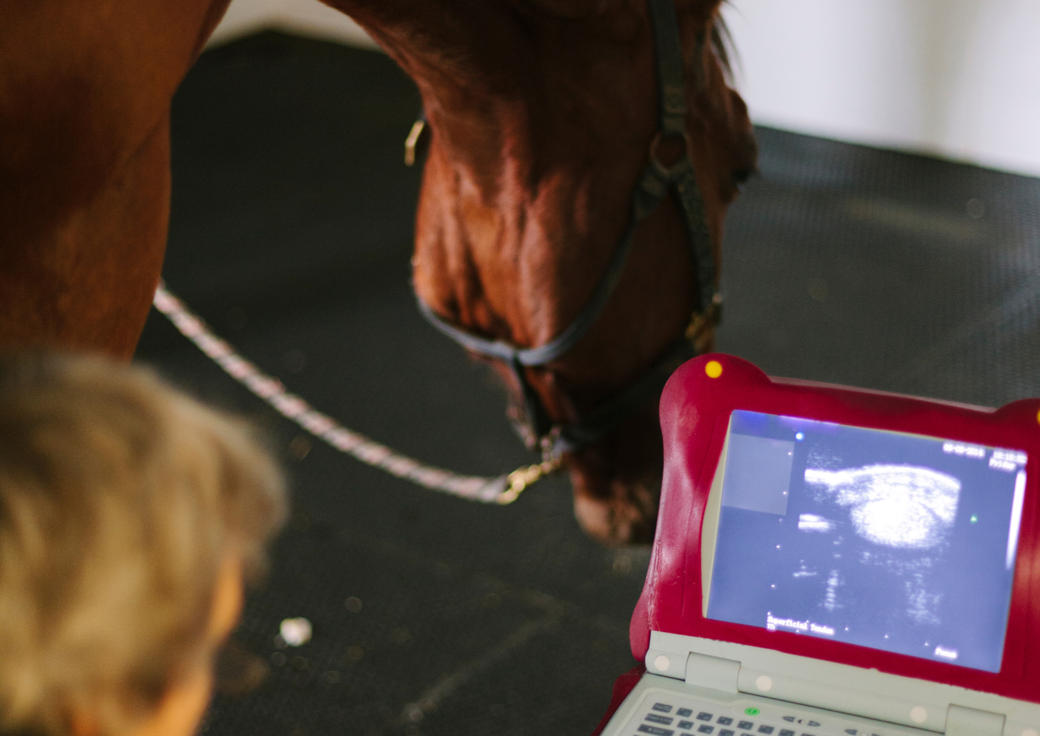 Buying a new ultrasound, x-ray machine or endoscope: What to look out ...