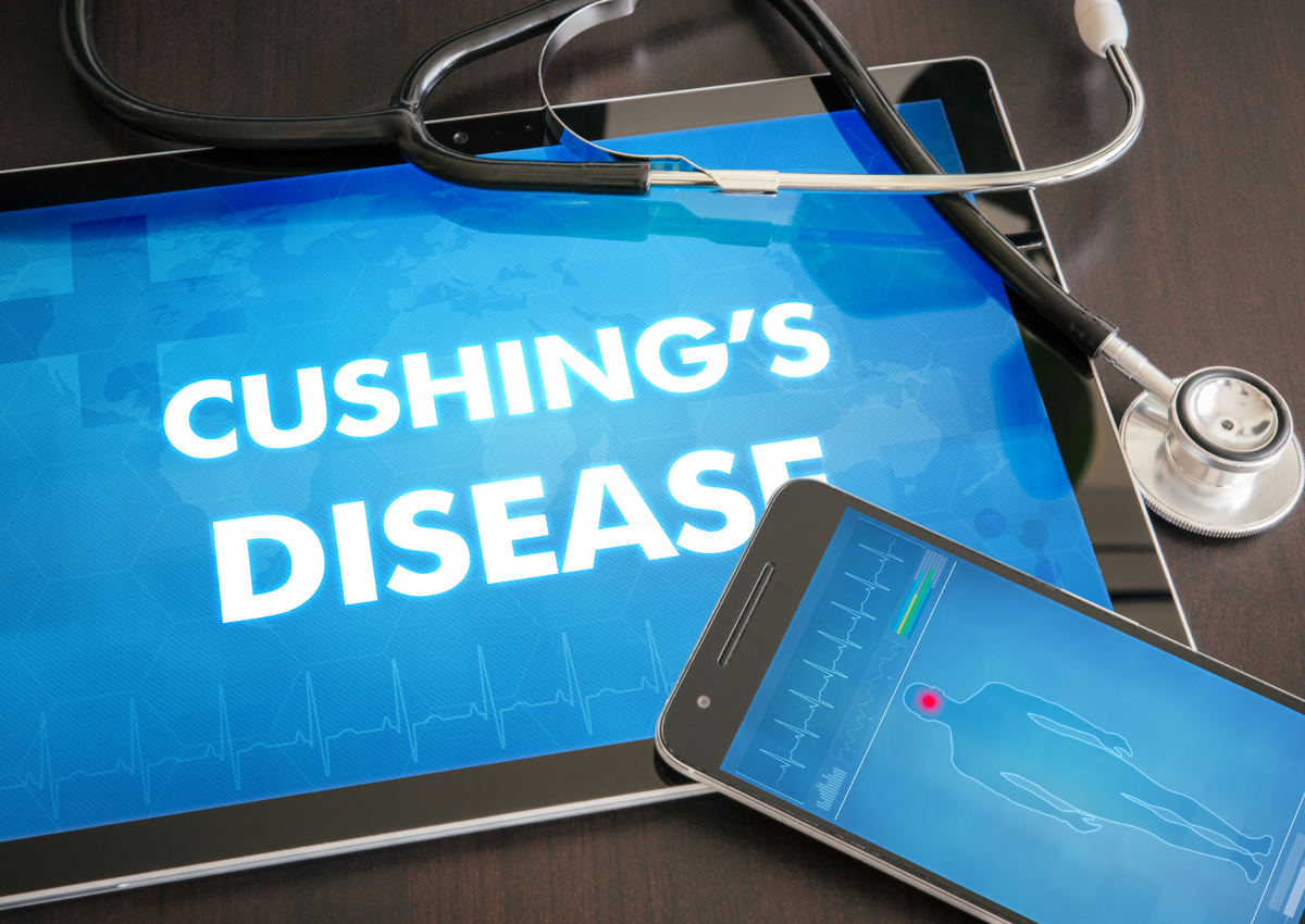 Endogenous ACTH use in diagnosis of Cushing's and Addison’s disease (B ...