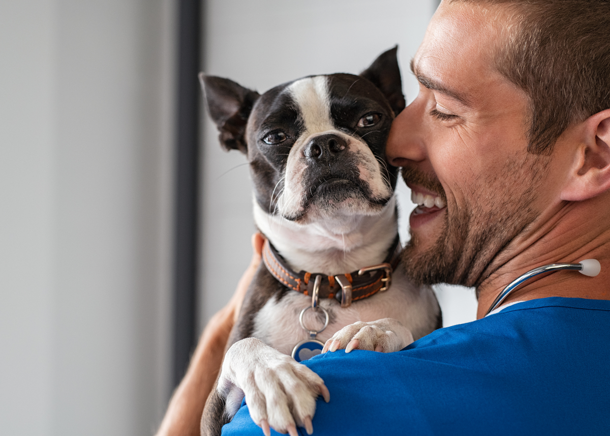 An Expert’s Insights on How to Use Librela™ (bedinvetmab injection) fo ...