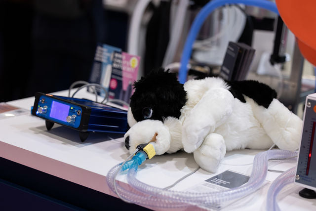 Ventilation: Manual and mechanical equipment – Vet Show Academy