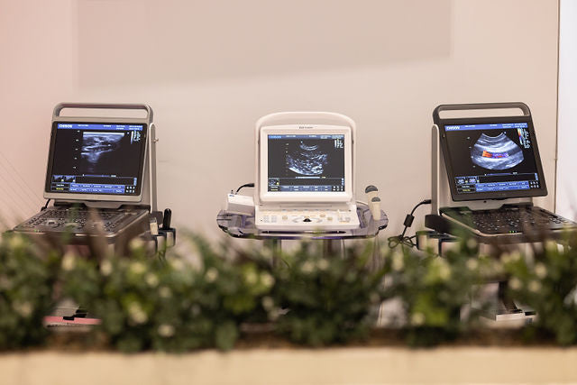 Butterfly flutterby how can pocus help us? – Vet Show Academy